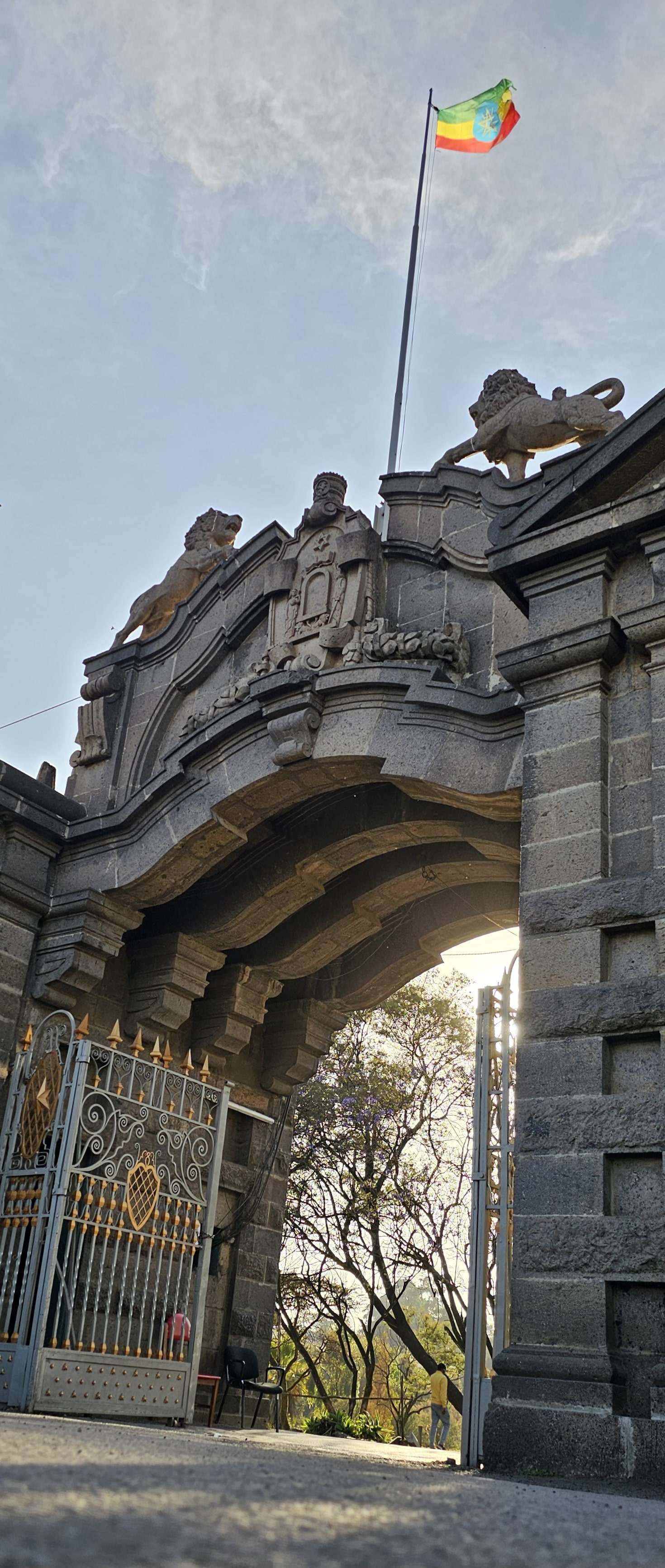 AAU | Addis Ababa University